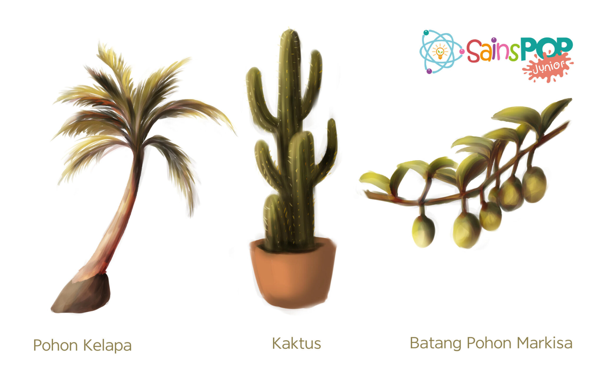 Batang Tumbuhan, Sumbu Tanaman yang Memiliki Peran Penting - SainsPop ...