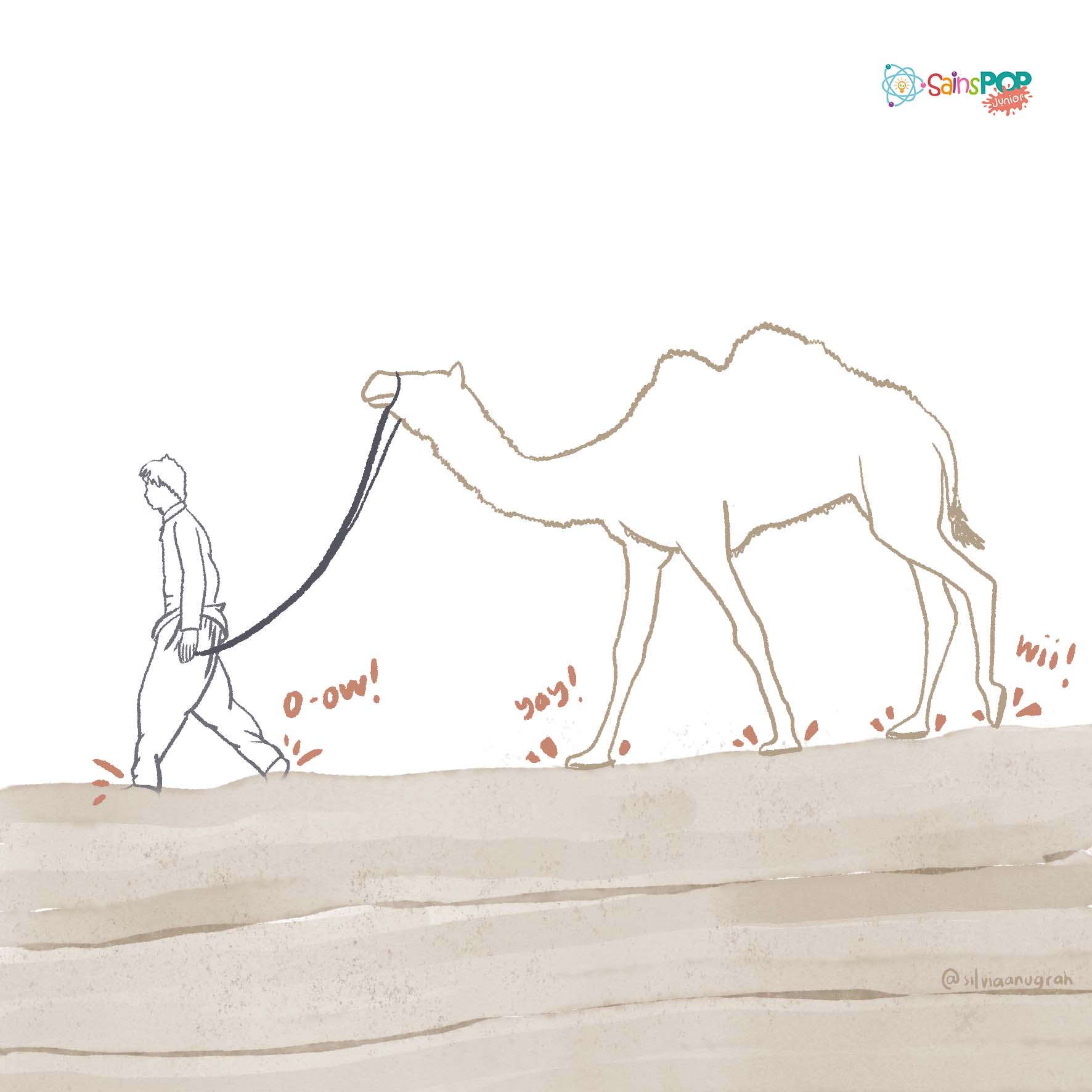 Lima Cara Adaptasi Unta, Sang Kapal Gurun - SainsPop Junior